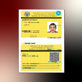 Unleashing the power of the Bureau of internal revenue card: a game ...